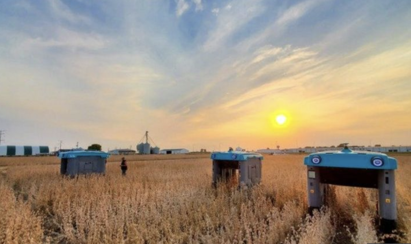 Revolutionary concept robots deployed for close crop inspection ...